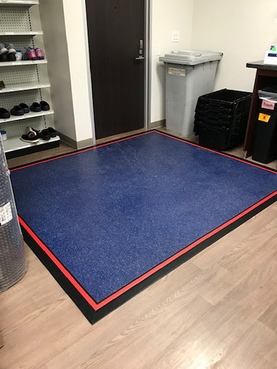 Dycem Non-Slip Material Floor Mats